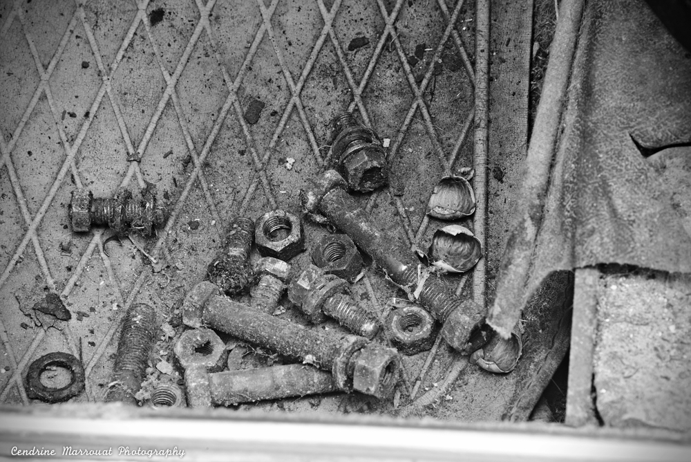 From the archives: Old Austin | Cendrine Marrouat - Artist