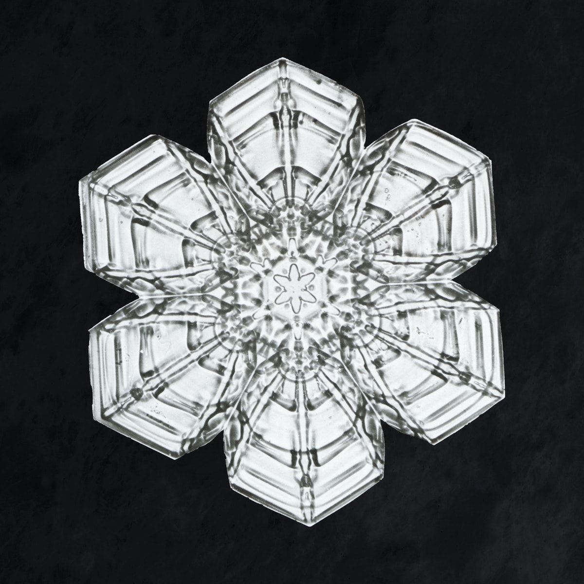 Early photography: Snowflakes – Wilson Alwyn Bentley | Cendrine ...